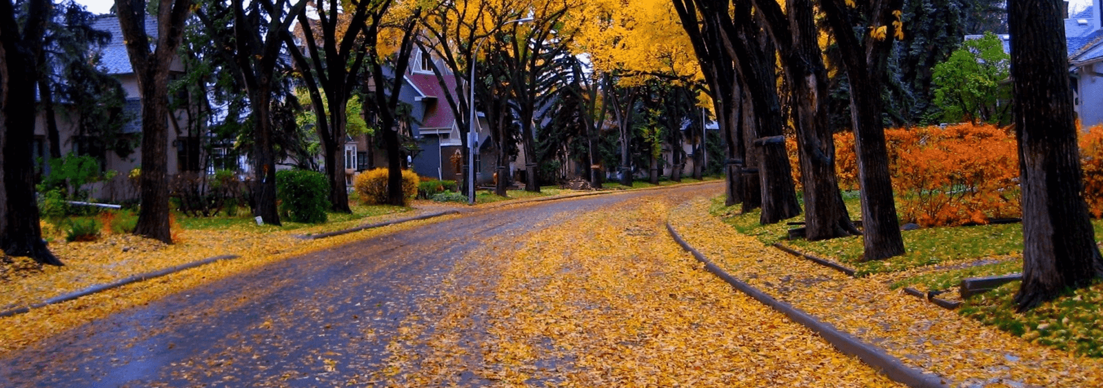 Bortek Industries, Inc.® - First in Power Cleaning Equipment®